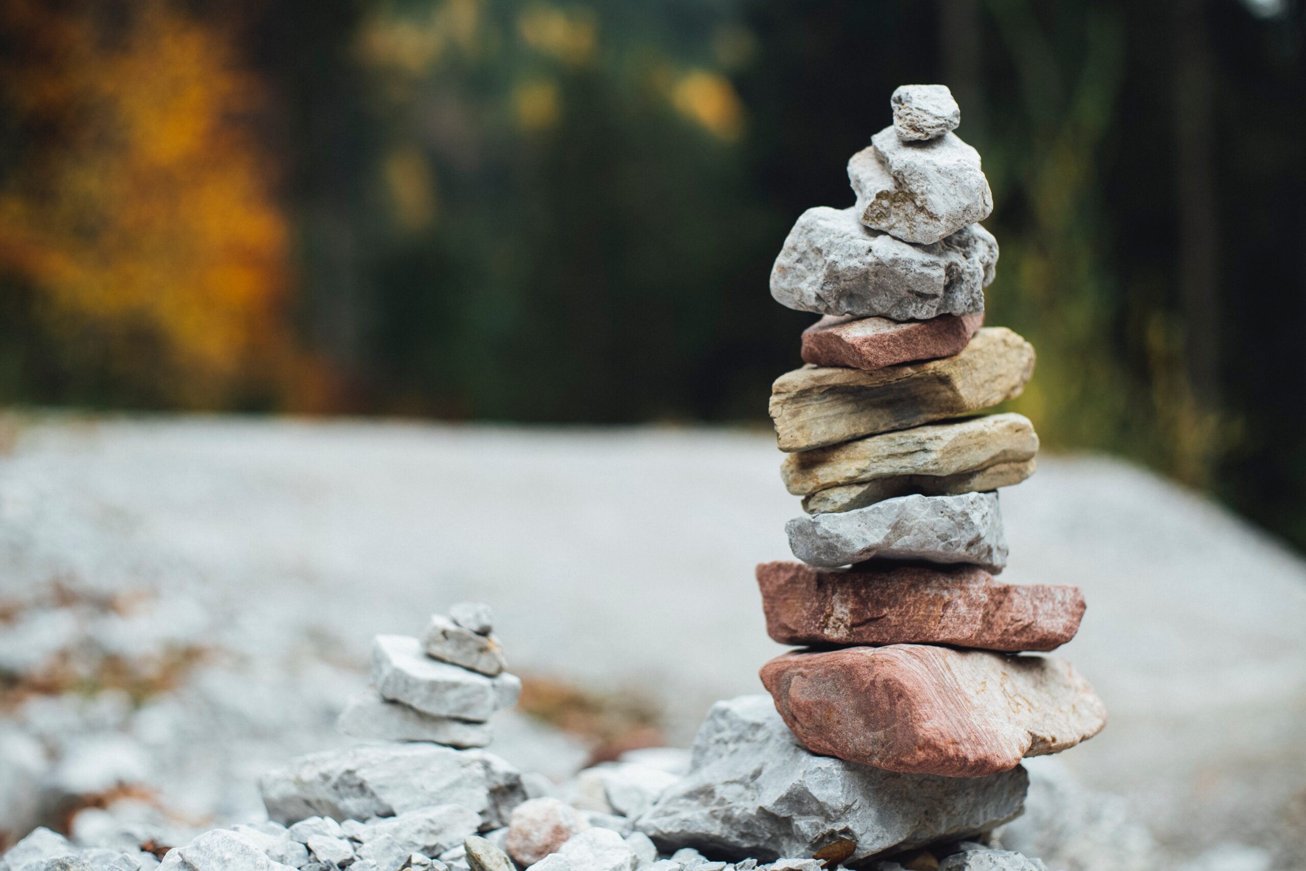 The Secret to Continuous Personal Growth and Fulfillment - Shane Wenzel